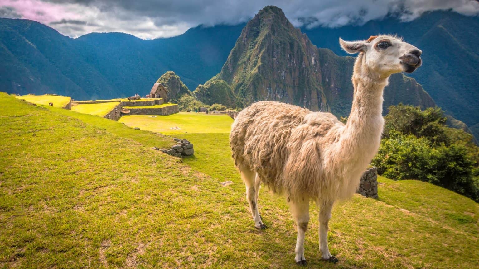 What Did the Inca Transportation System Consist Of? - Magical Cusco ...